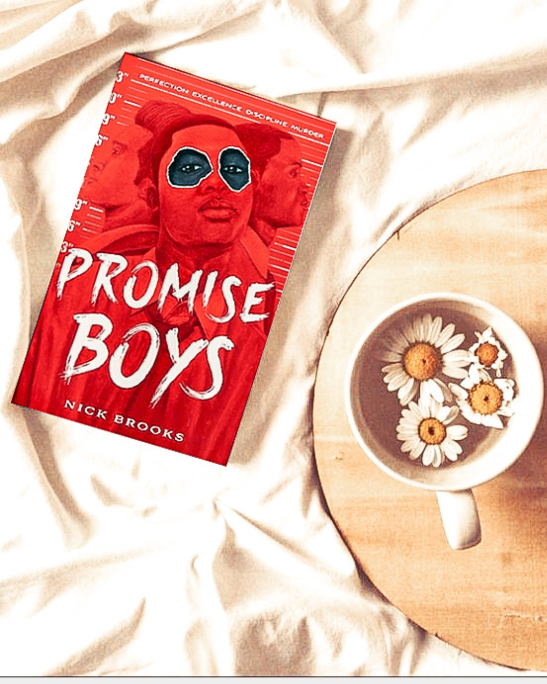 Promise Boys by Nick Brooks: Unraveling a Clever Murder Mystery